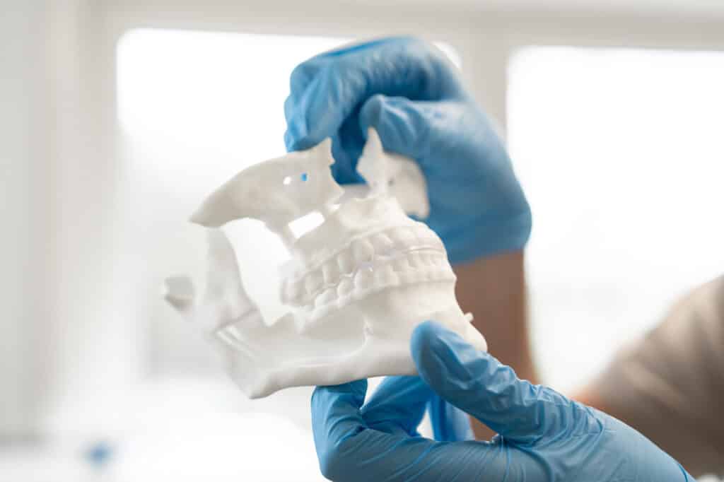 Anatomische modellen - 3D VSP